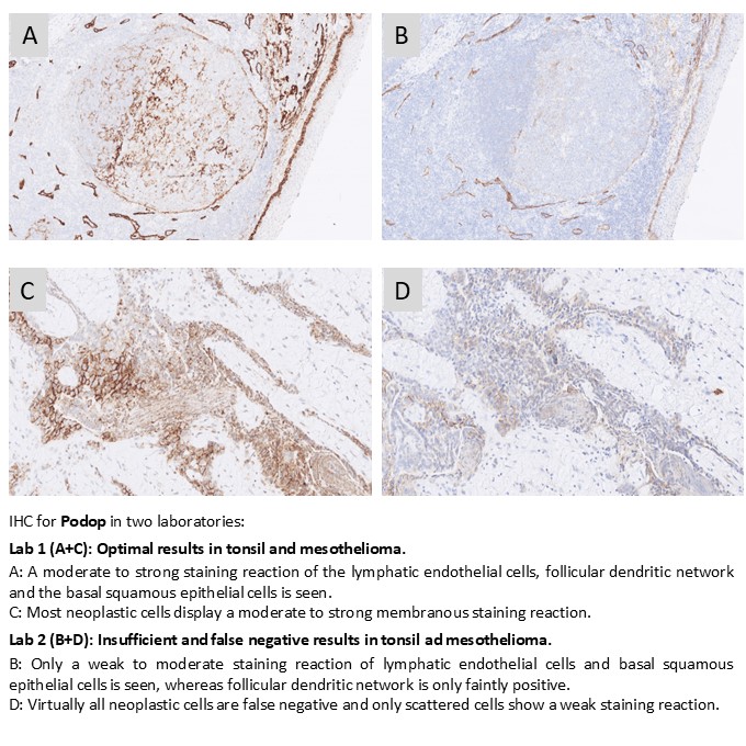 NordiQC - Immunohistochemical Quality Control